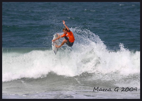23 trees at the Surfin Turtle Melbourne Beach fl.