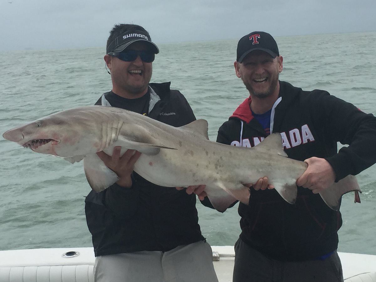 Sebastian Inlet Florida Fishing - Offshore and The Indain River Lagoon