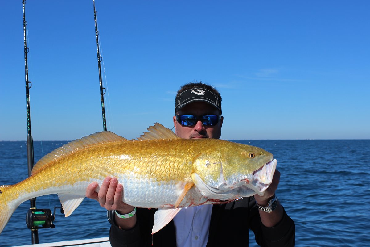 Sebastian Inlet Florida Fishing - Offshore and The Indain River Lagoon
